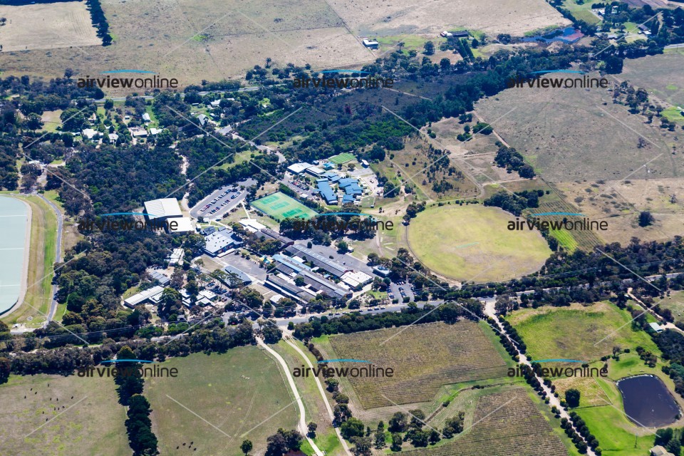 Aerial Photography Dromana - Airview Online