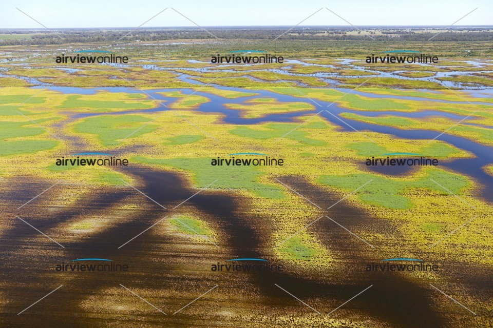 Aerial Photography Macquarie Marshes In Flood - Airview Online