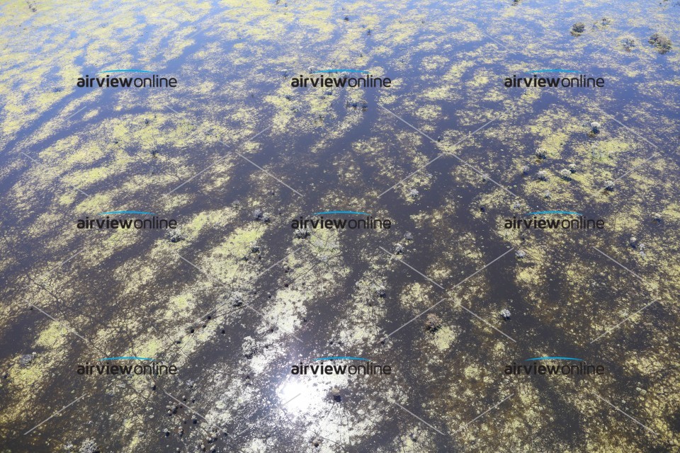 Aerial Photography Macquarie Marshes In Flood - Airview Online